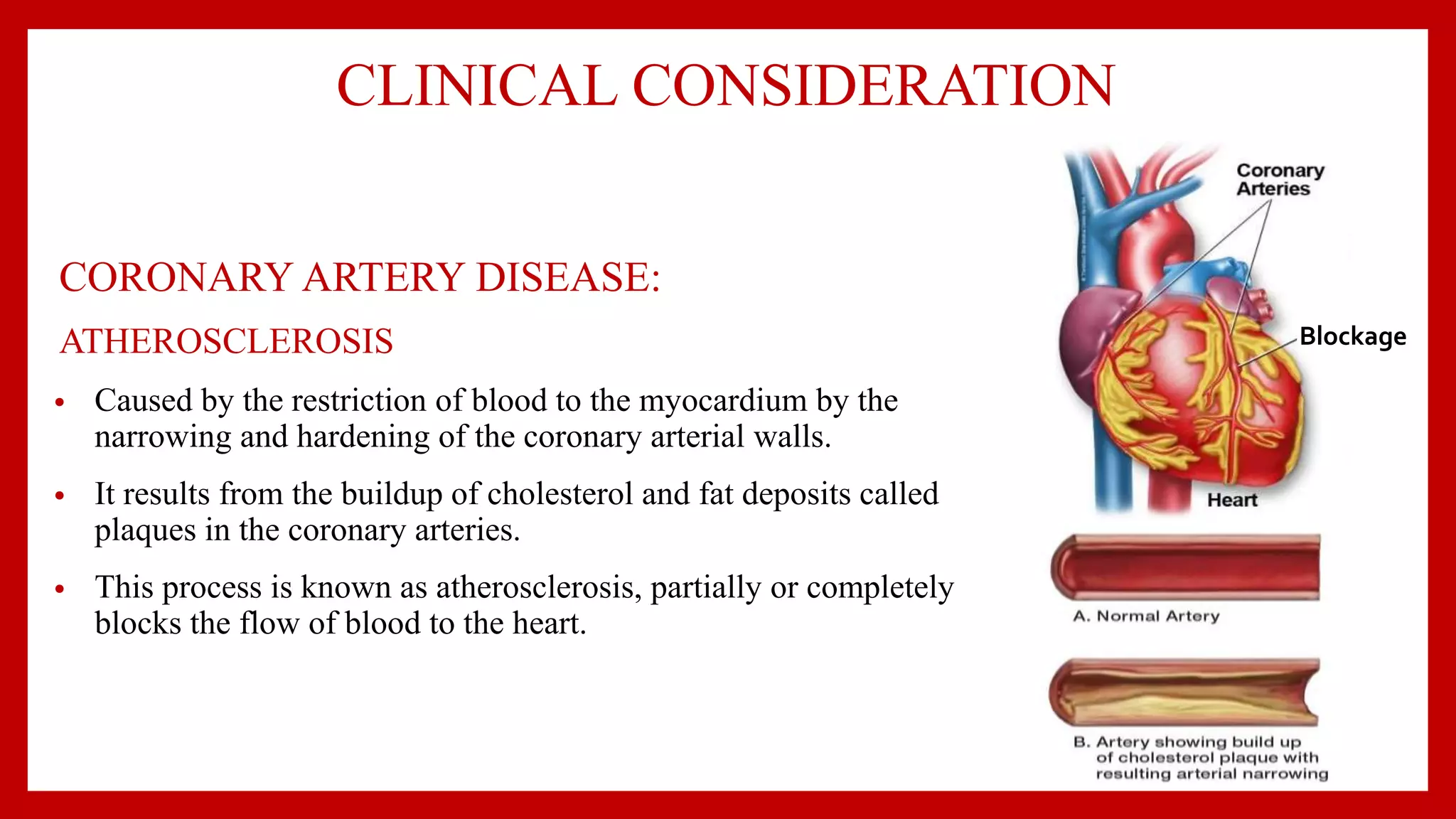Blood supply and venous drainage of heart | PPTX