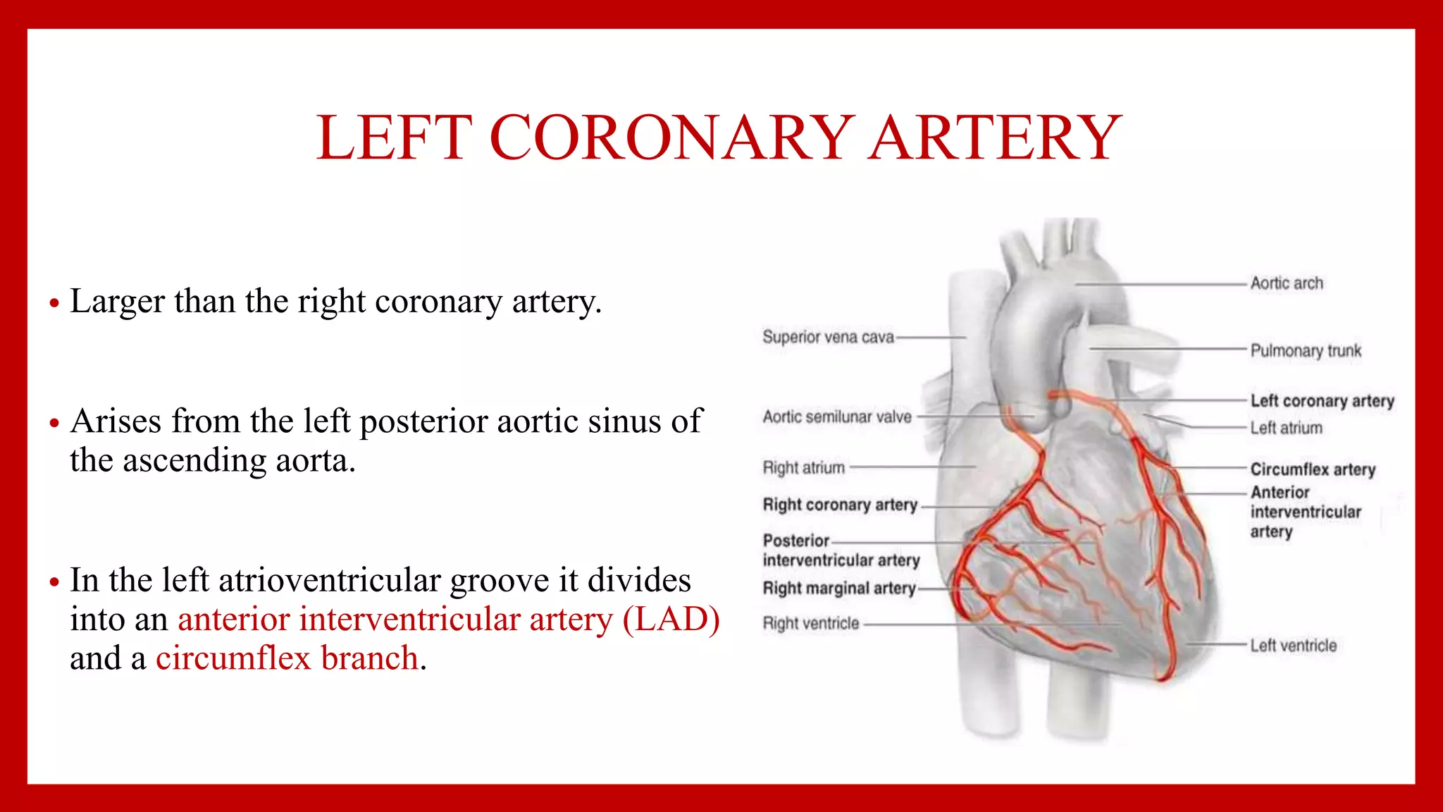 Blood supply and venous drainage of heart | PPTX