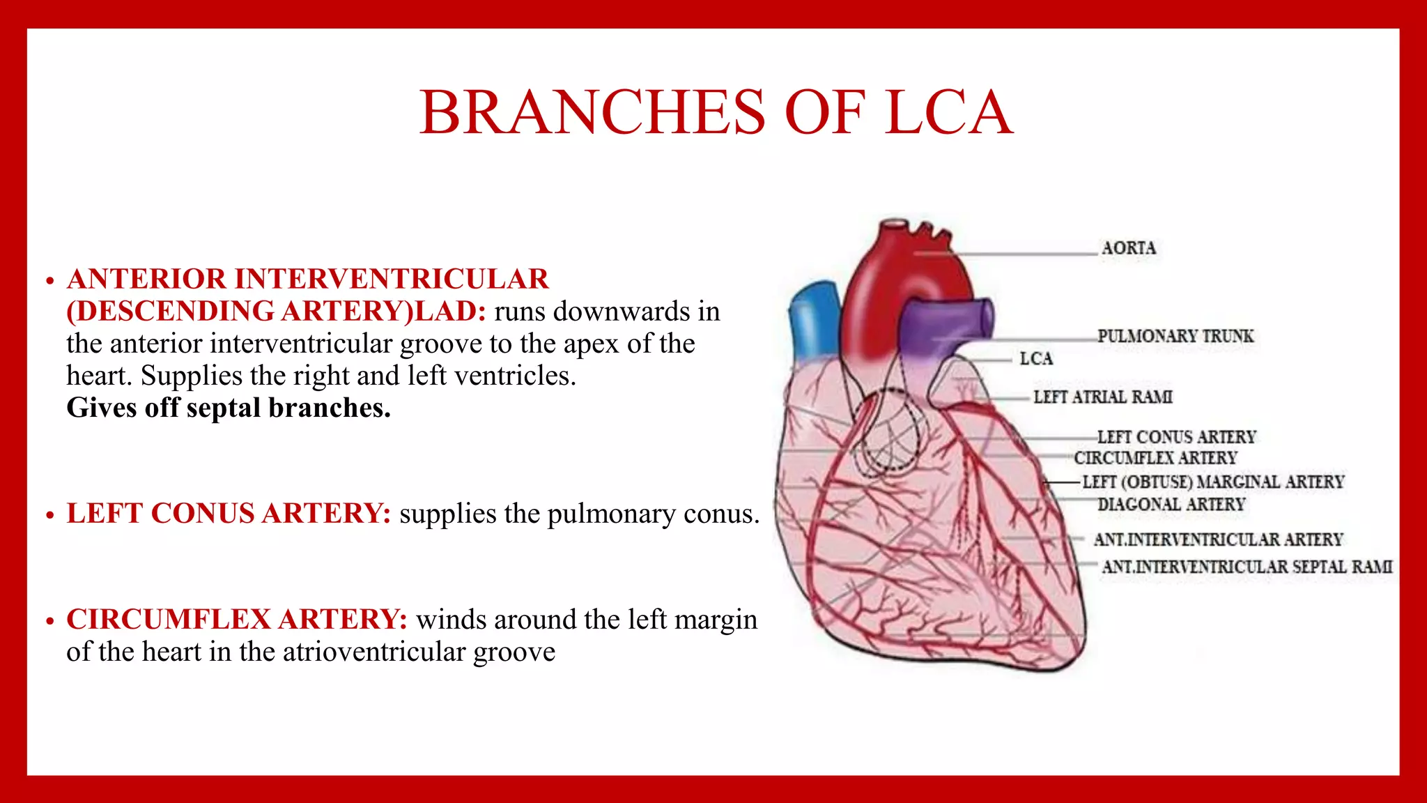 Blood supply and venous drainage of heart | PPTX
