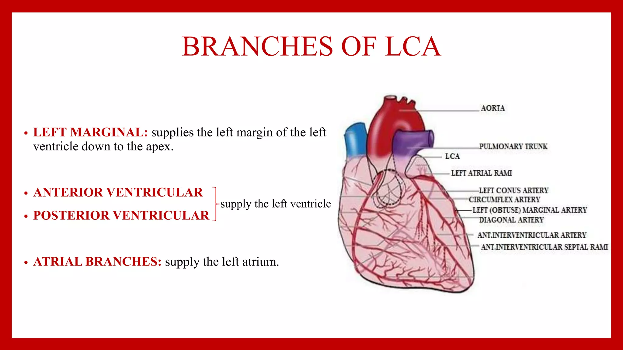 Blood supply and venous drainage of heart | PPTX