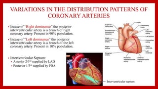 Blood supply and venous drainage of heart | PPTX