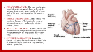 Blood supply and venous drainage of heart | PPTX