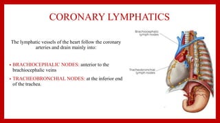 Blood supply and venous drainage of heart | PPTX