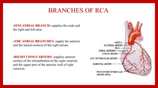 Blood supply and venous drainage of heart | PPTX