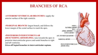 Blood supply and venous drainage of heart | PPTX