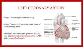 Blood supply and venous drainage of heart | PPTX