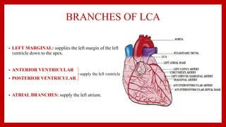Blood supply and venous drainage of heart | PPTX
