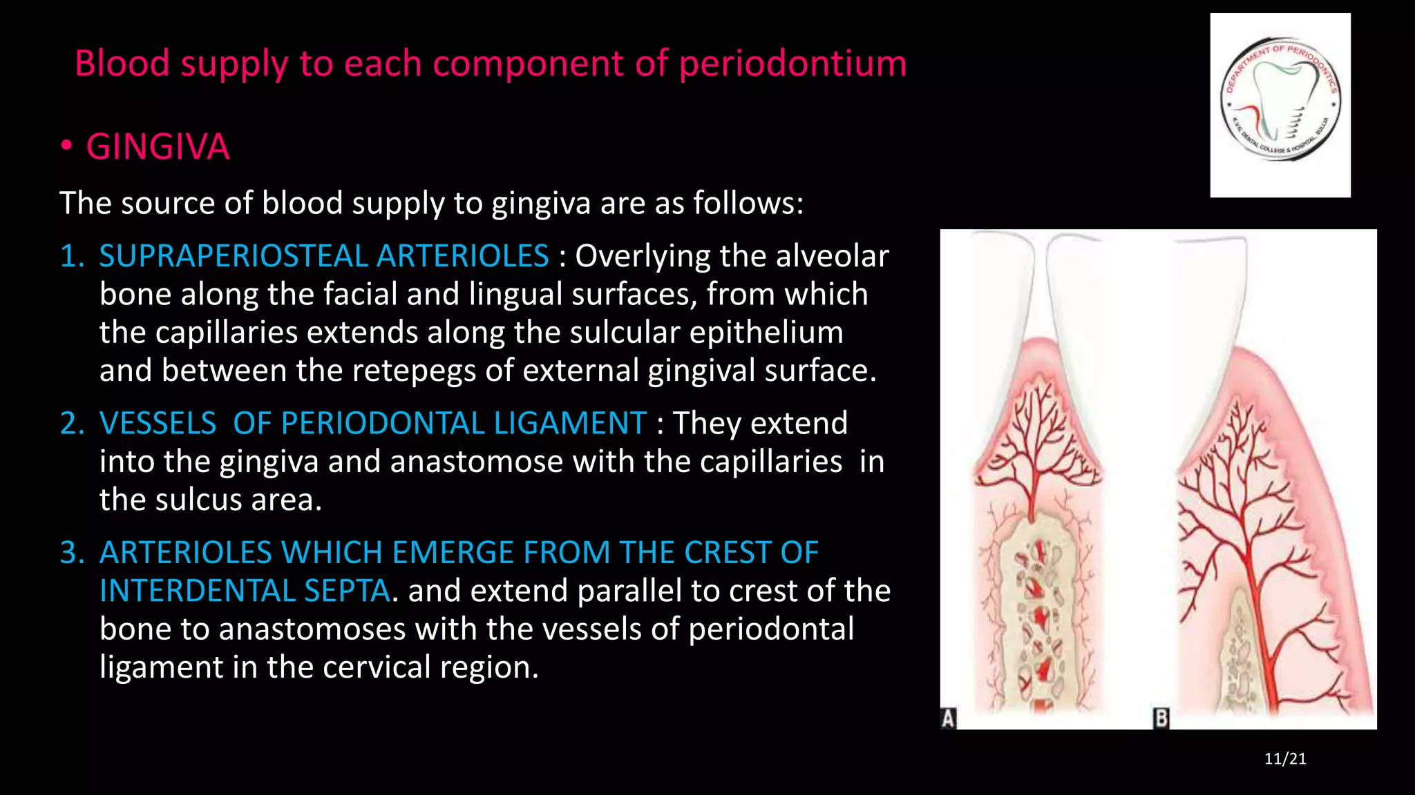 BLOOD SUPPLY FOR PERIODONTIUM | PPTX