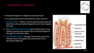 BLOOD SUPPLY FOR PERIODONTIUM | PPTX