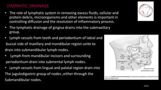 BLOOD SUPPLY FOR PERIODONTIUM | PPTX