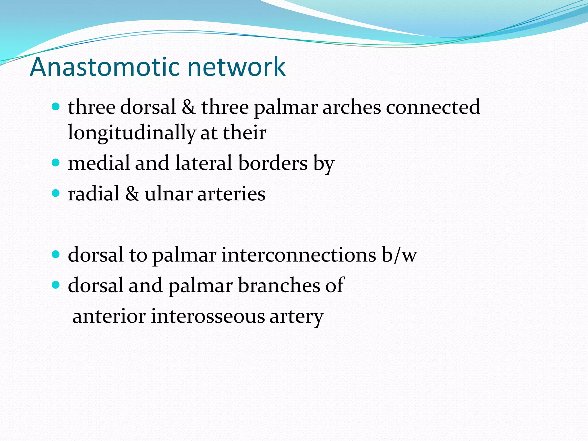 Blood supply & fractures of scaphoid | PPTX