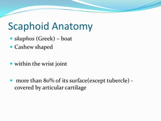 Blood supply & fractures of scaphoid | PPT