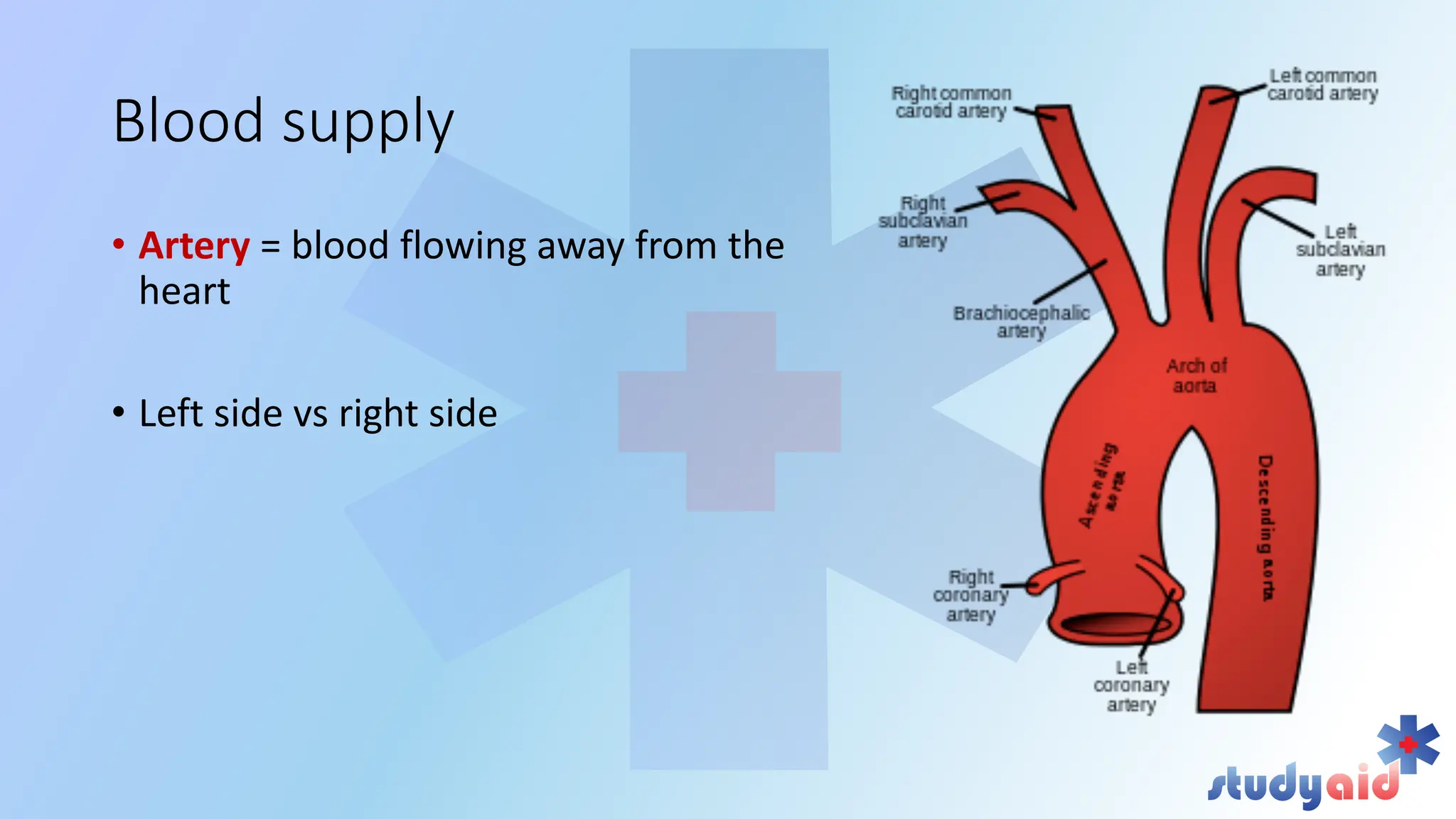 Blood supply head and neck by bb chaurasya | PPT