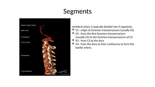 Blood supply Head and Neck Anatomy .pptx