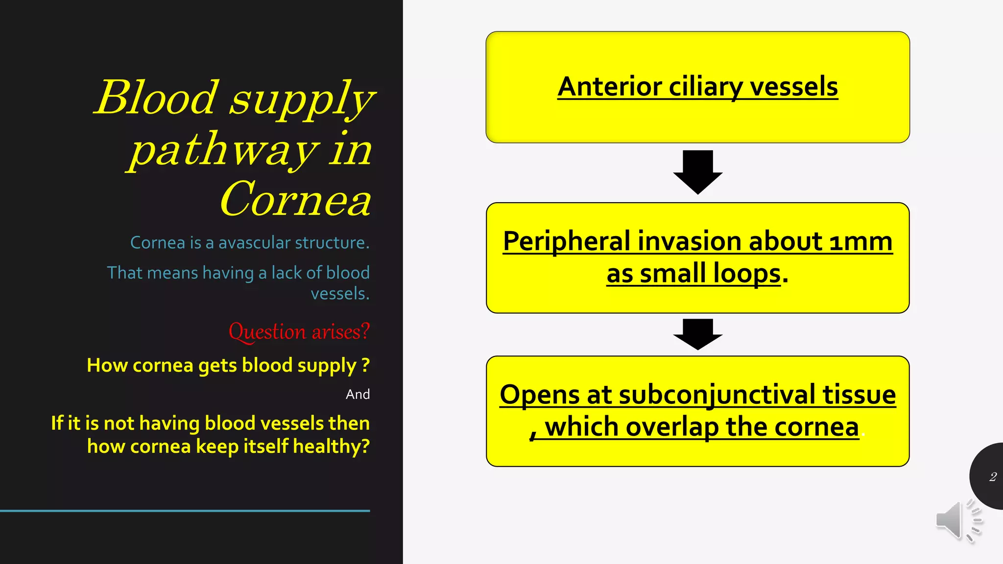 Blood supply in cornea | PPTX