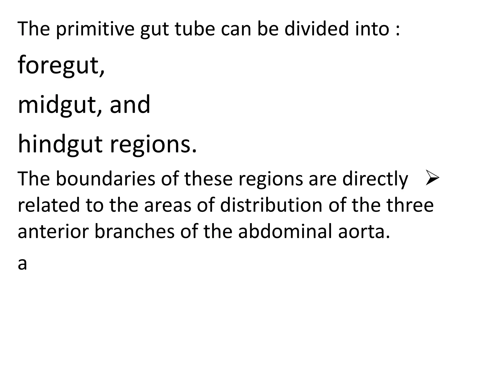 Blood supply, lymphatic drainage and nerves of the gastrointestinal ...