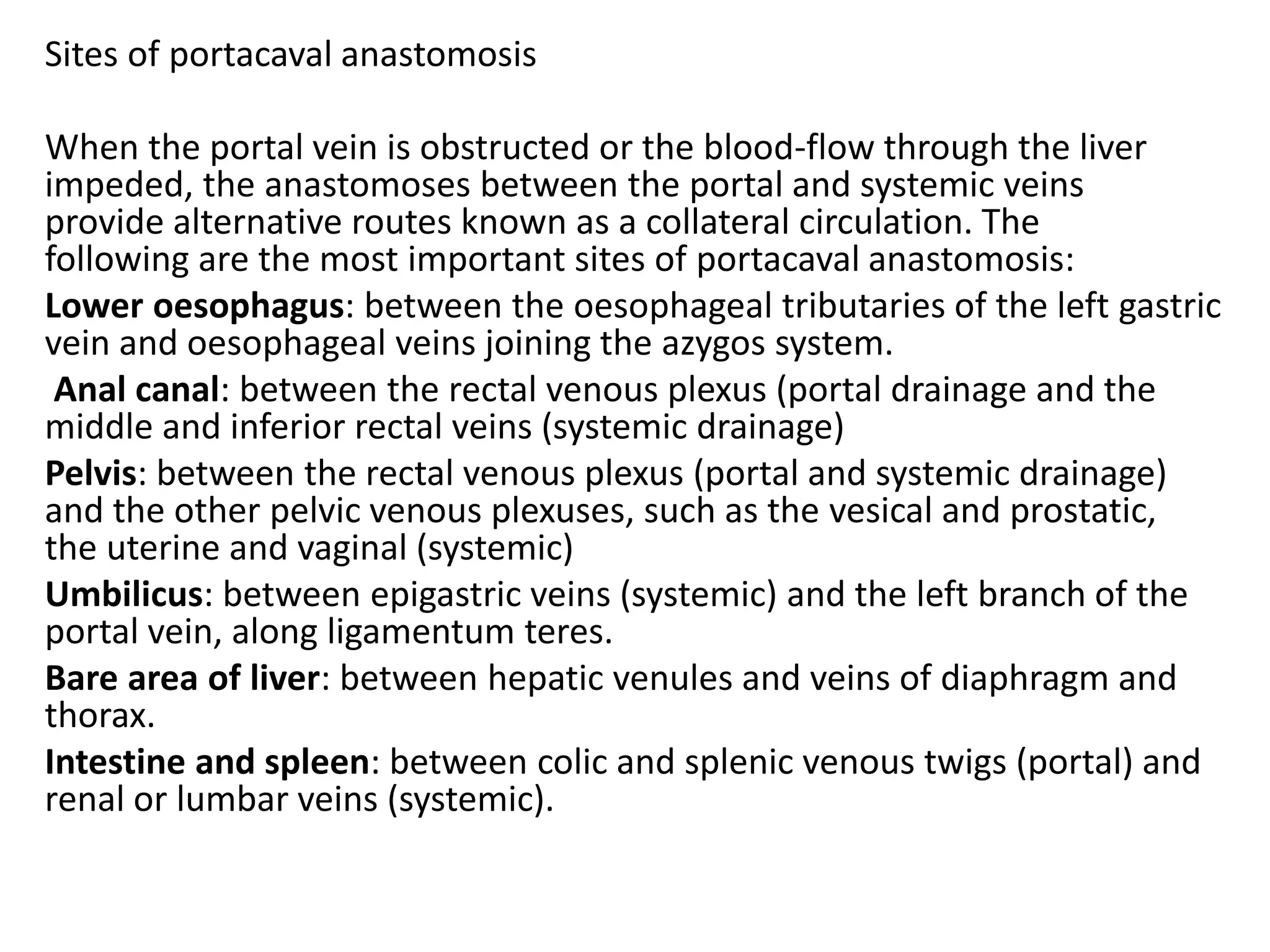 Blood supply, lymphatic drainage and nerves of the gastrointestinal ...