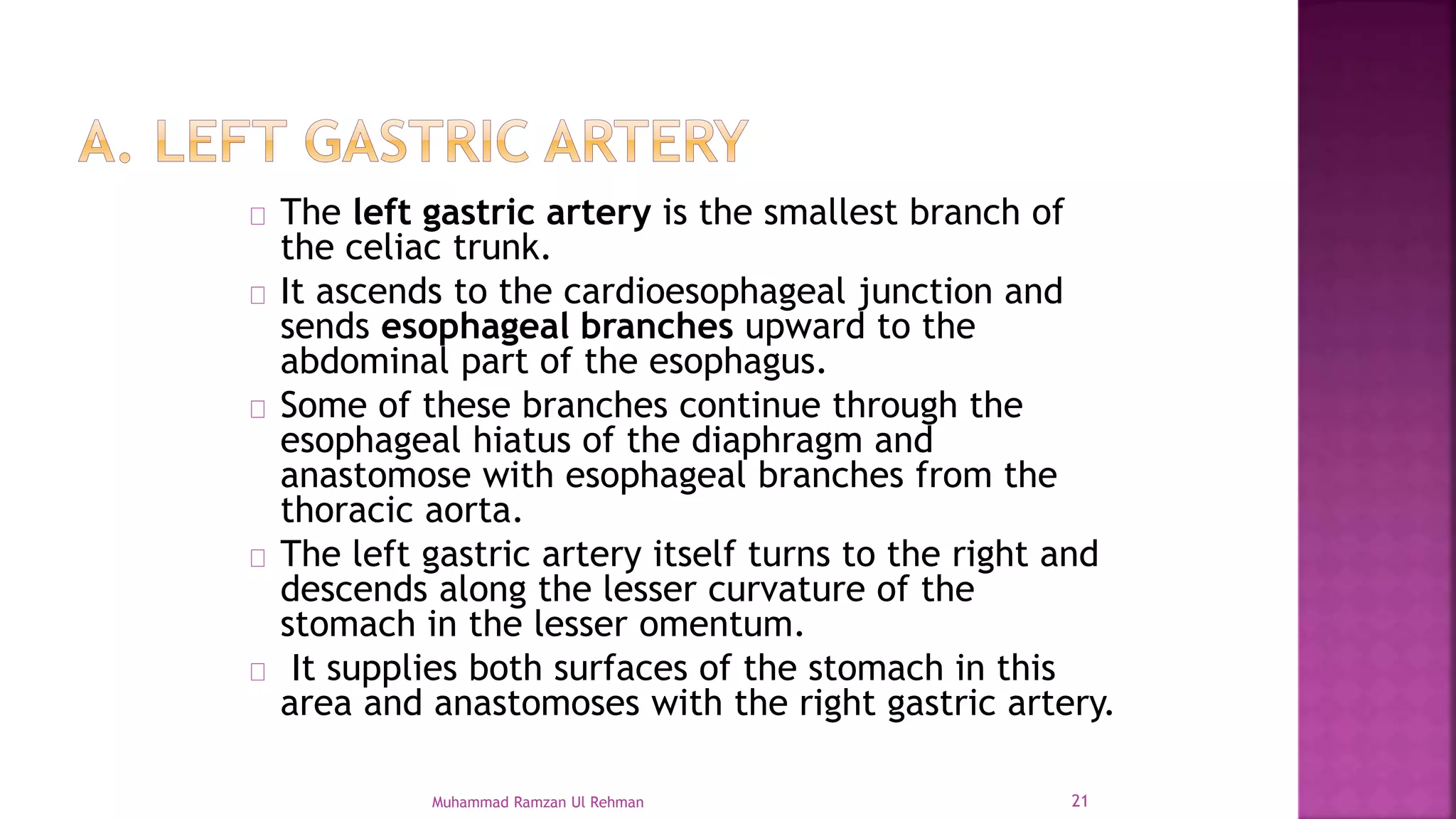 Blood supply of abdomen | PPTX