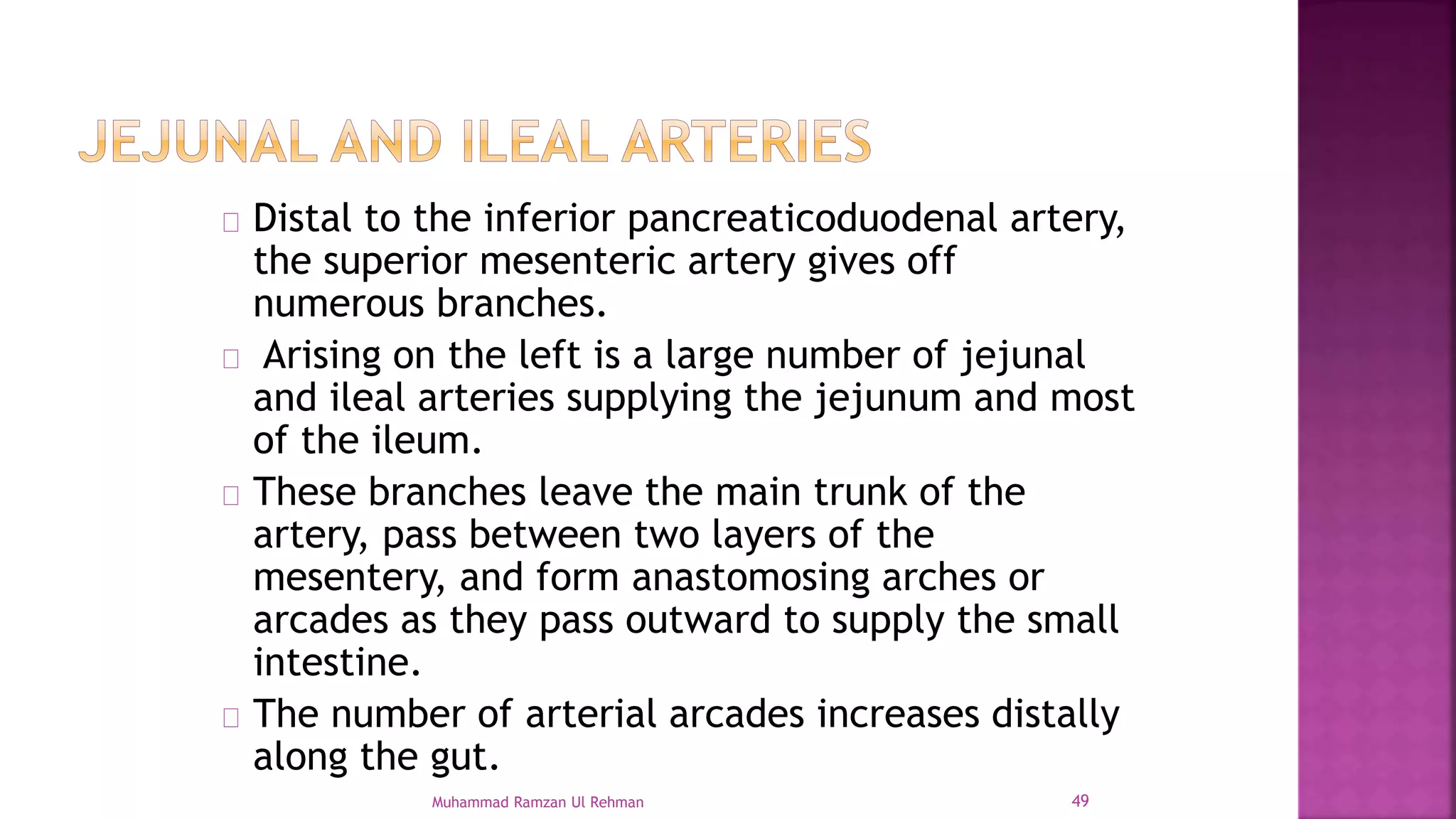 Blood supply of abdomen | PPTX