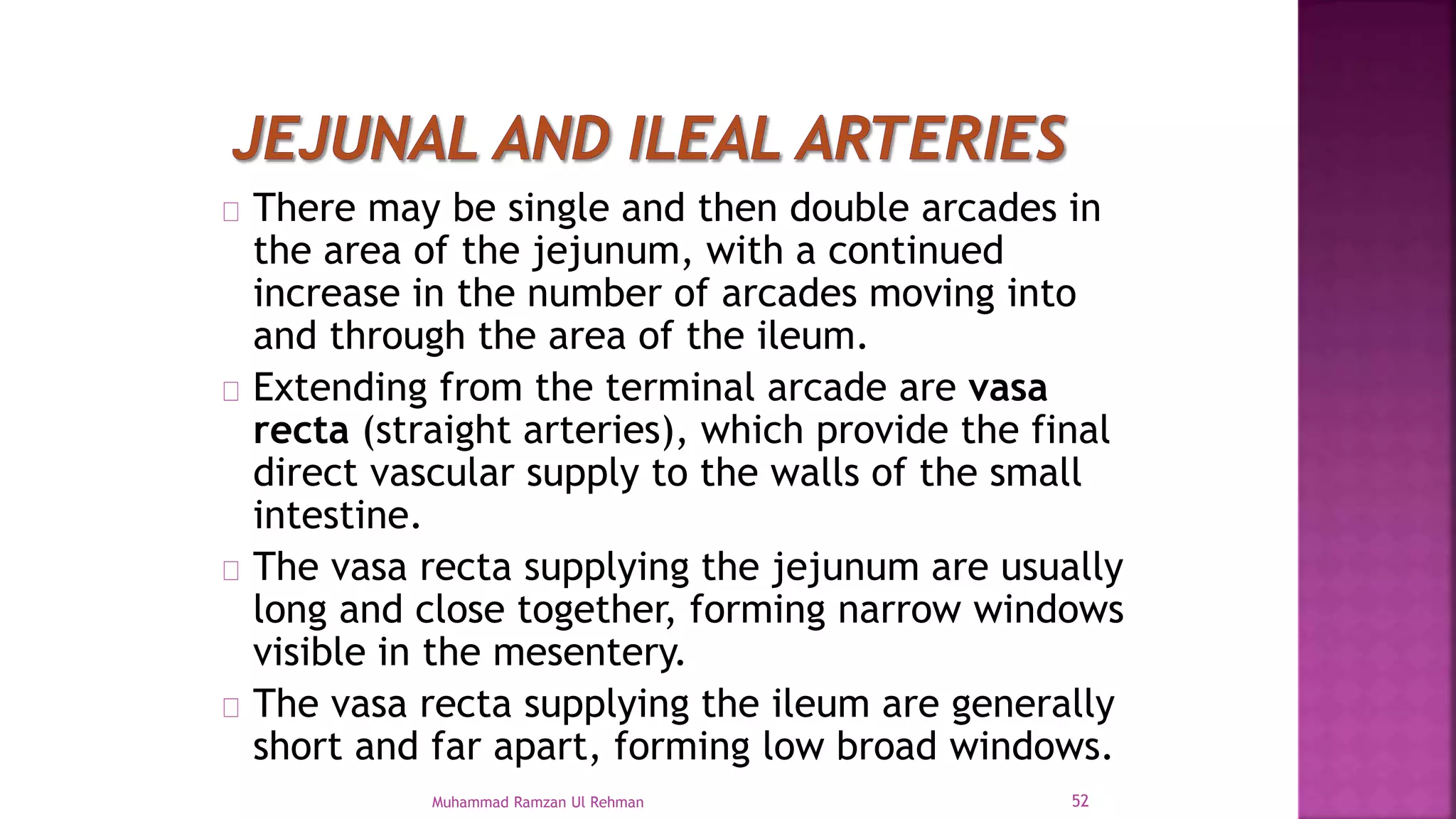 Blood supply of abdomen | PPTX