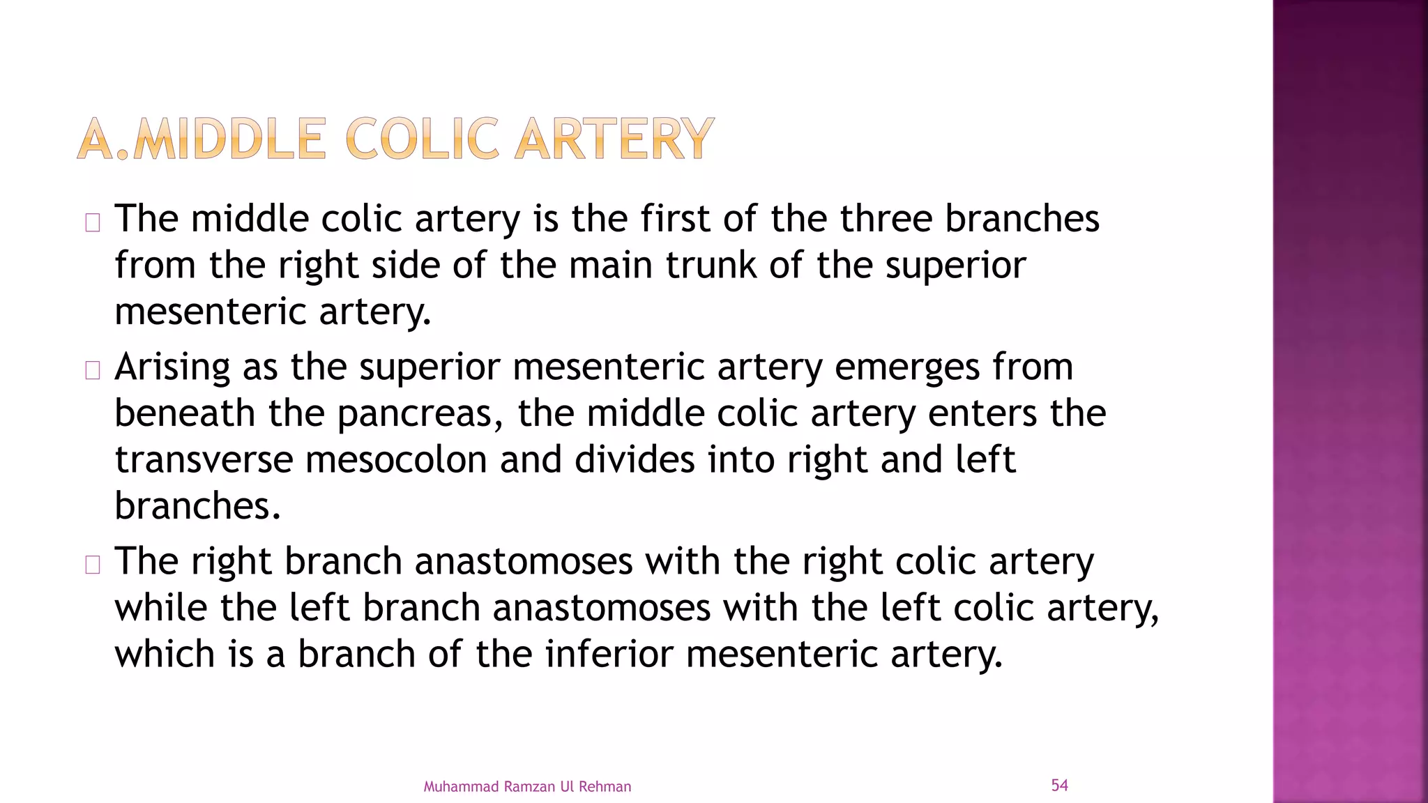 Blood supply of abdomen | PPTX