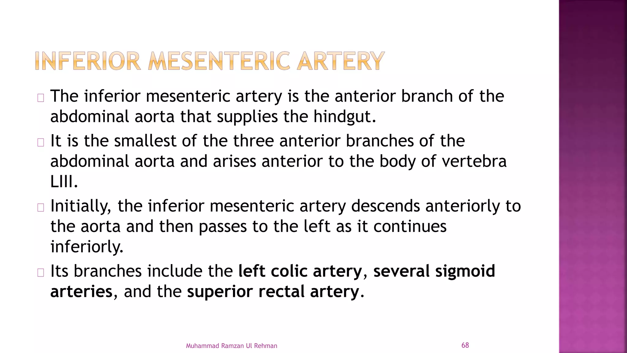 Blood supply of abdomen | PPTX