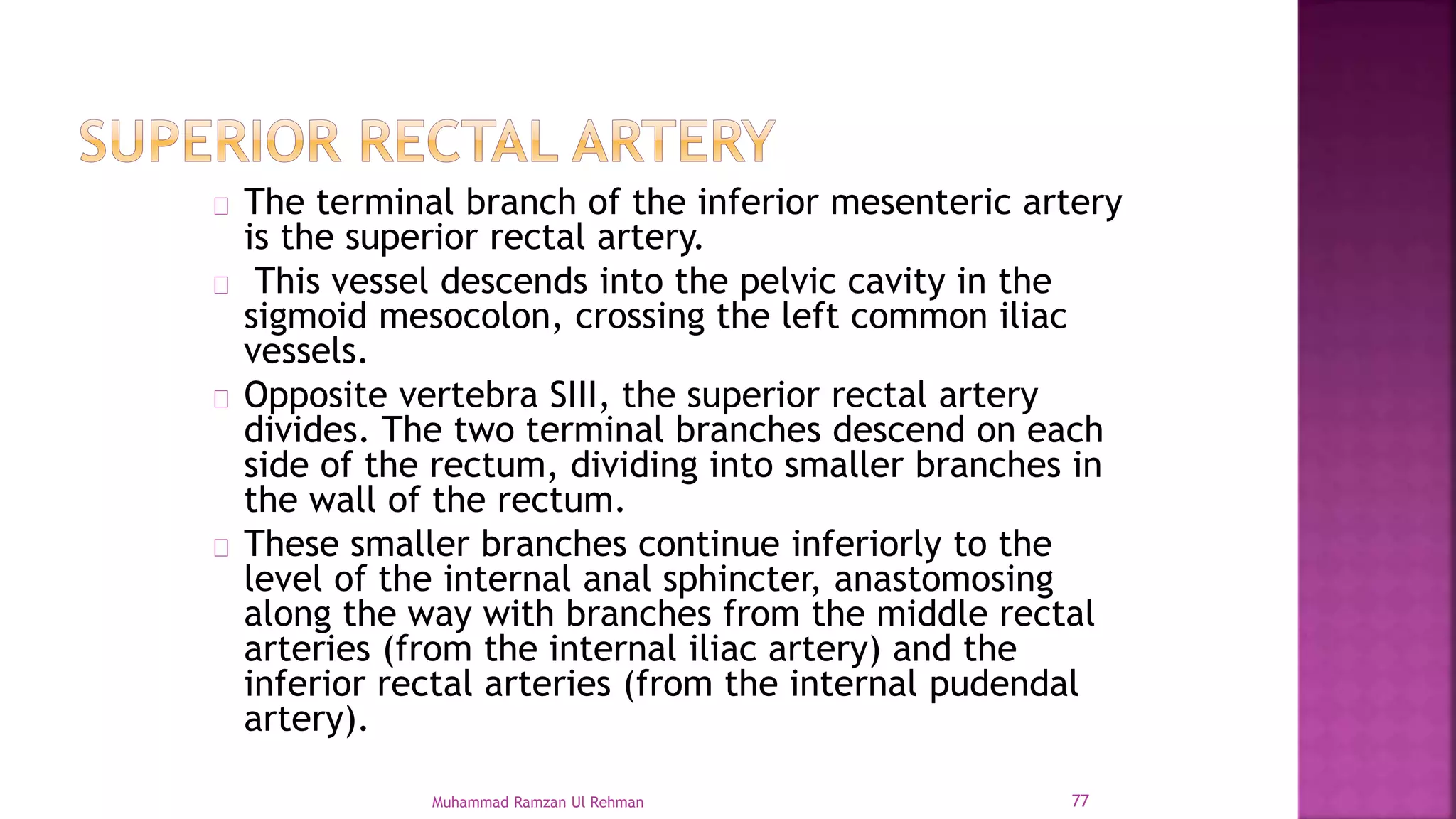 Blood supply of abdomen | PPTX