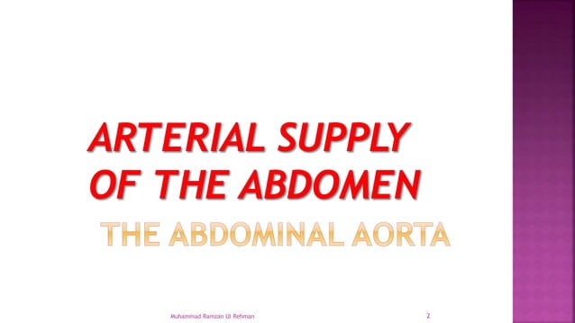Blood supply of abdomen | PPTX