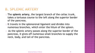 Blood supply of abdomen | PPTX