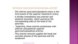 Blood supply of abdomen | PPTX
