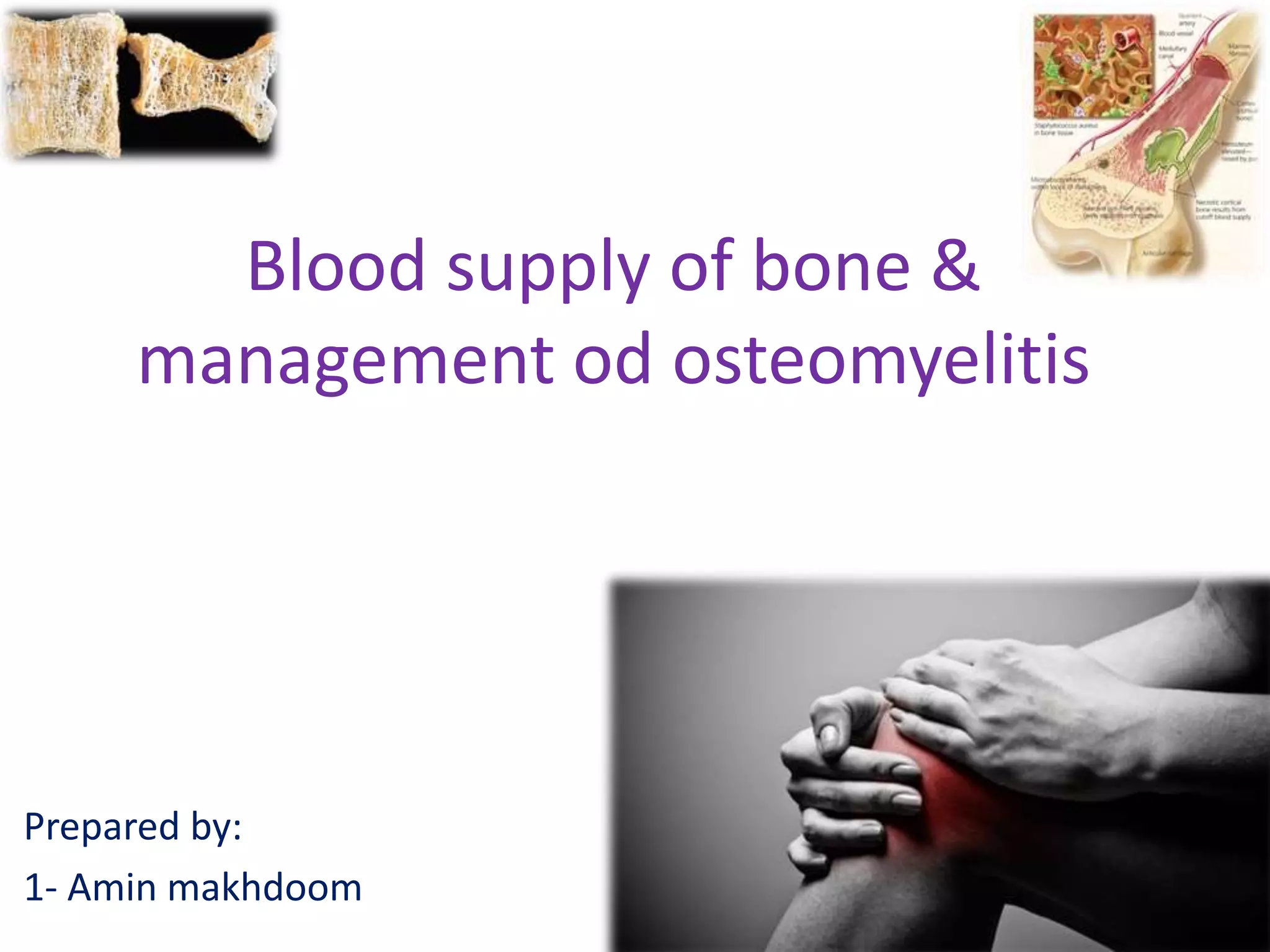 Blood supply of bone & management od osteomyelitis | PPTX | Death ...