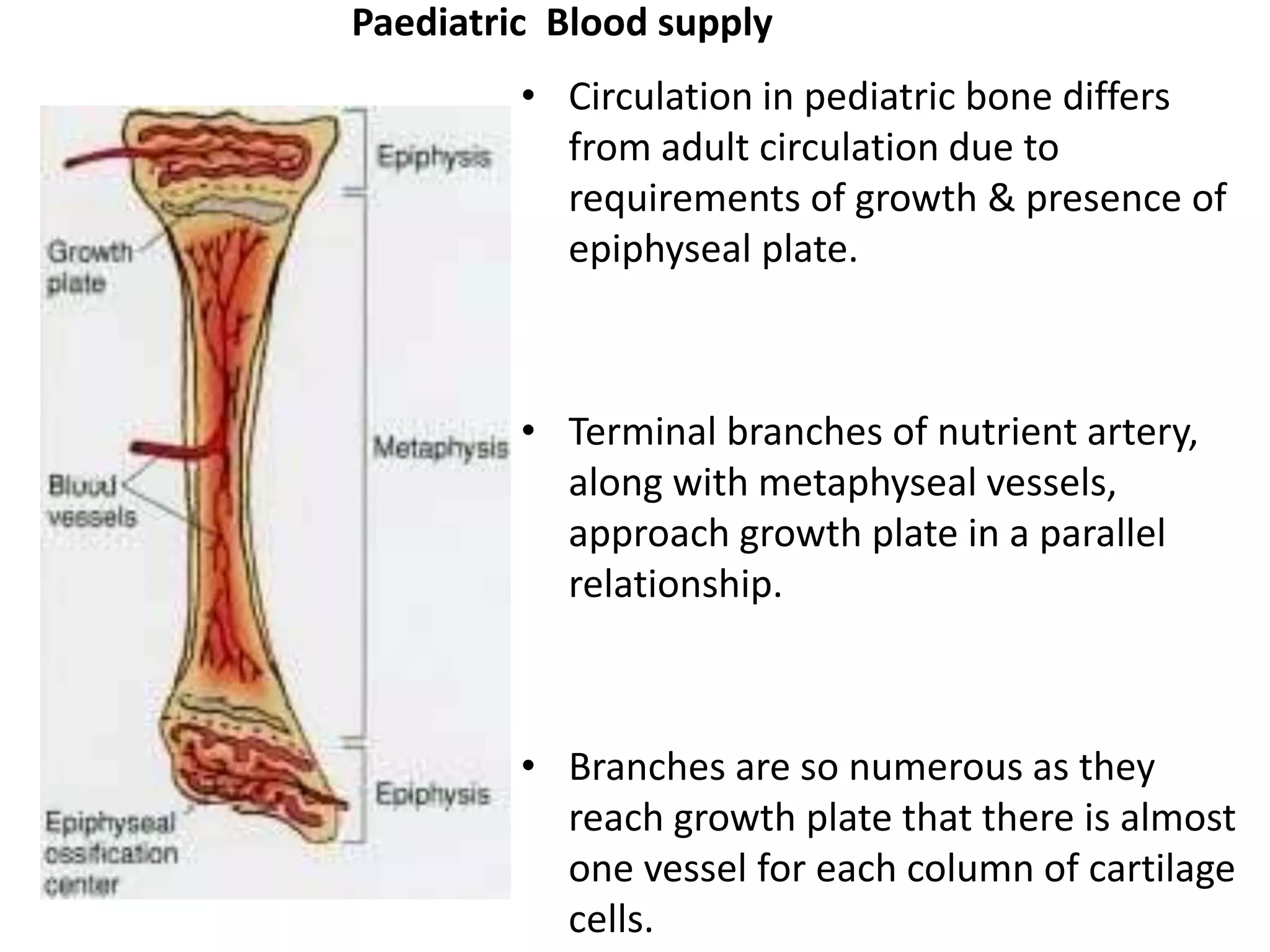 Blood supply of long bones | PPTX