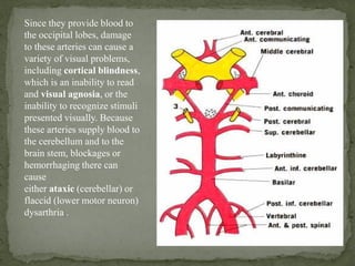 Blood supply of Human Brain | PDF