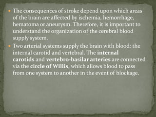 Blood supply of Human Brain | PDF