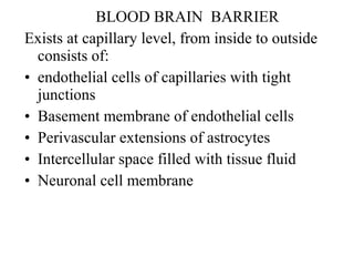 Blood supply of brain | PPT