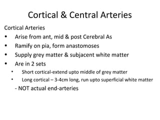 Blood supply of brain | PPT