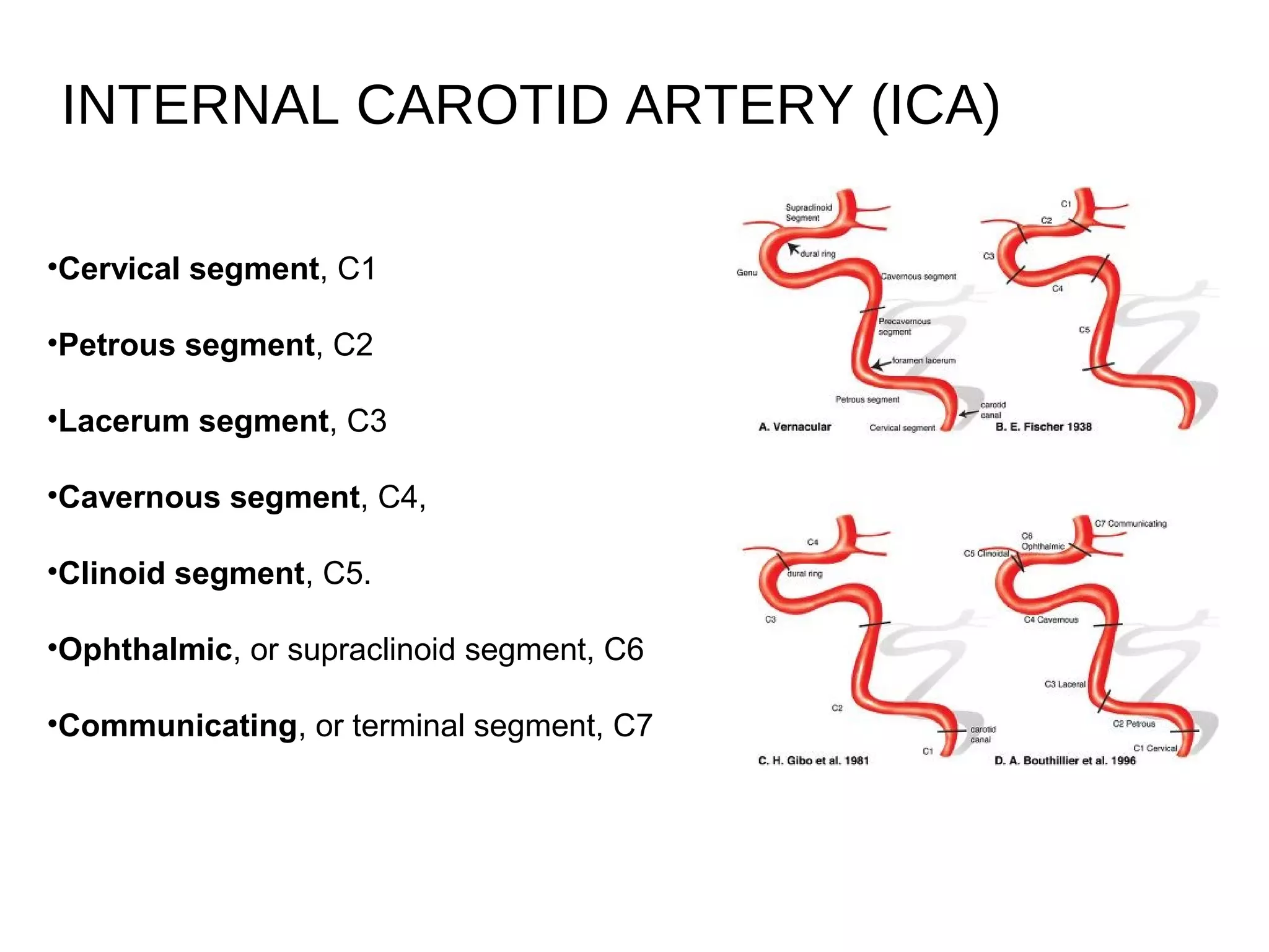 Blood supply of brain | PPT
