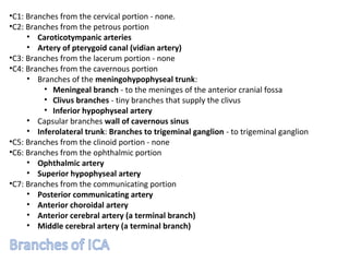 Blood supply of brain | PPT