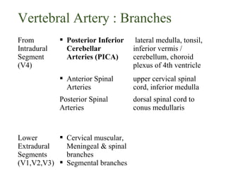 Blood supply of brain | PPT