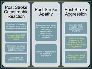 Blood Supply of Brain | PPTX