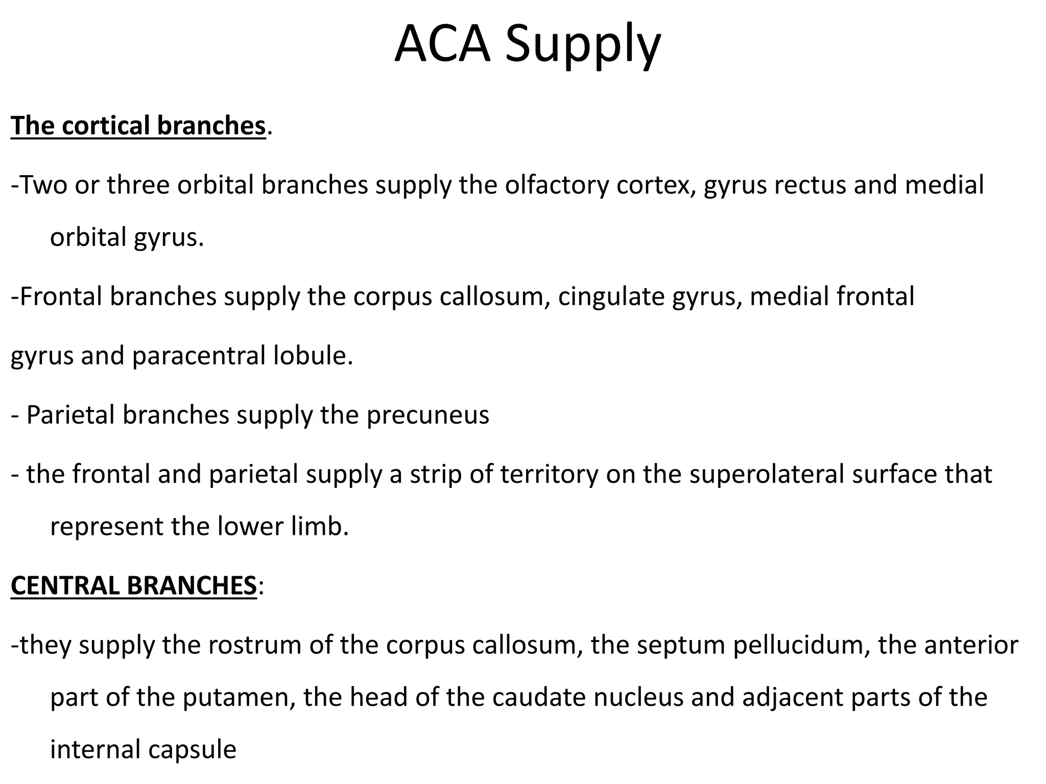 Blood supply of brain | PDF