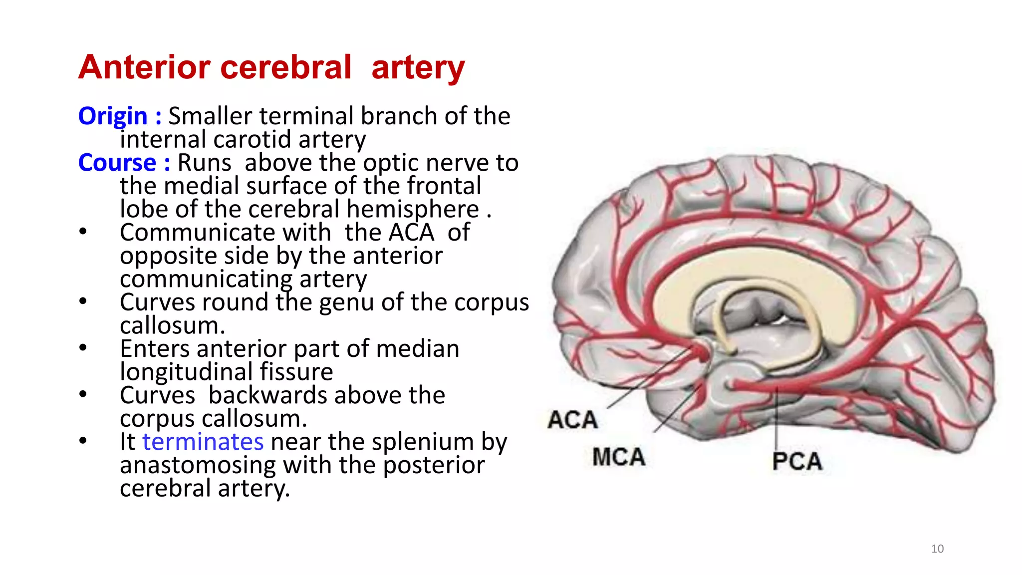 Blood supply of brain | PPTX