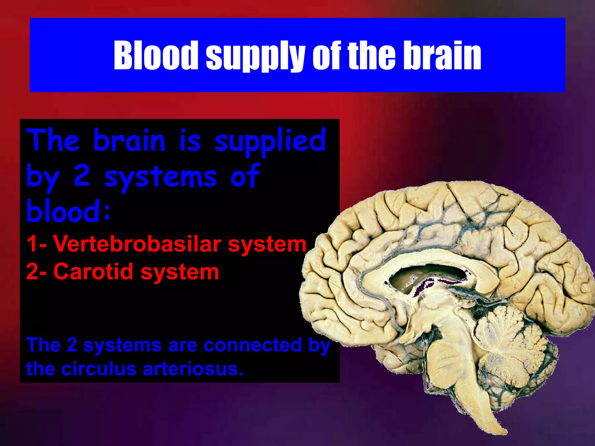Blood supply of brain | PPT
