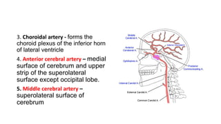 Blood supply of brain.pdf