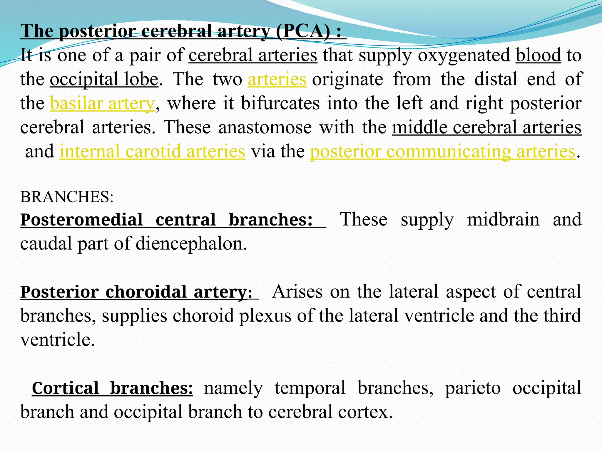 BLOOD SUPPLY OF BRAIN (Basic Anatomy and Physiology) | PPTX