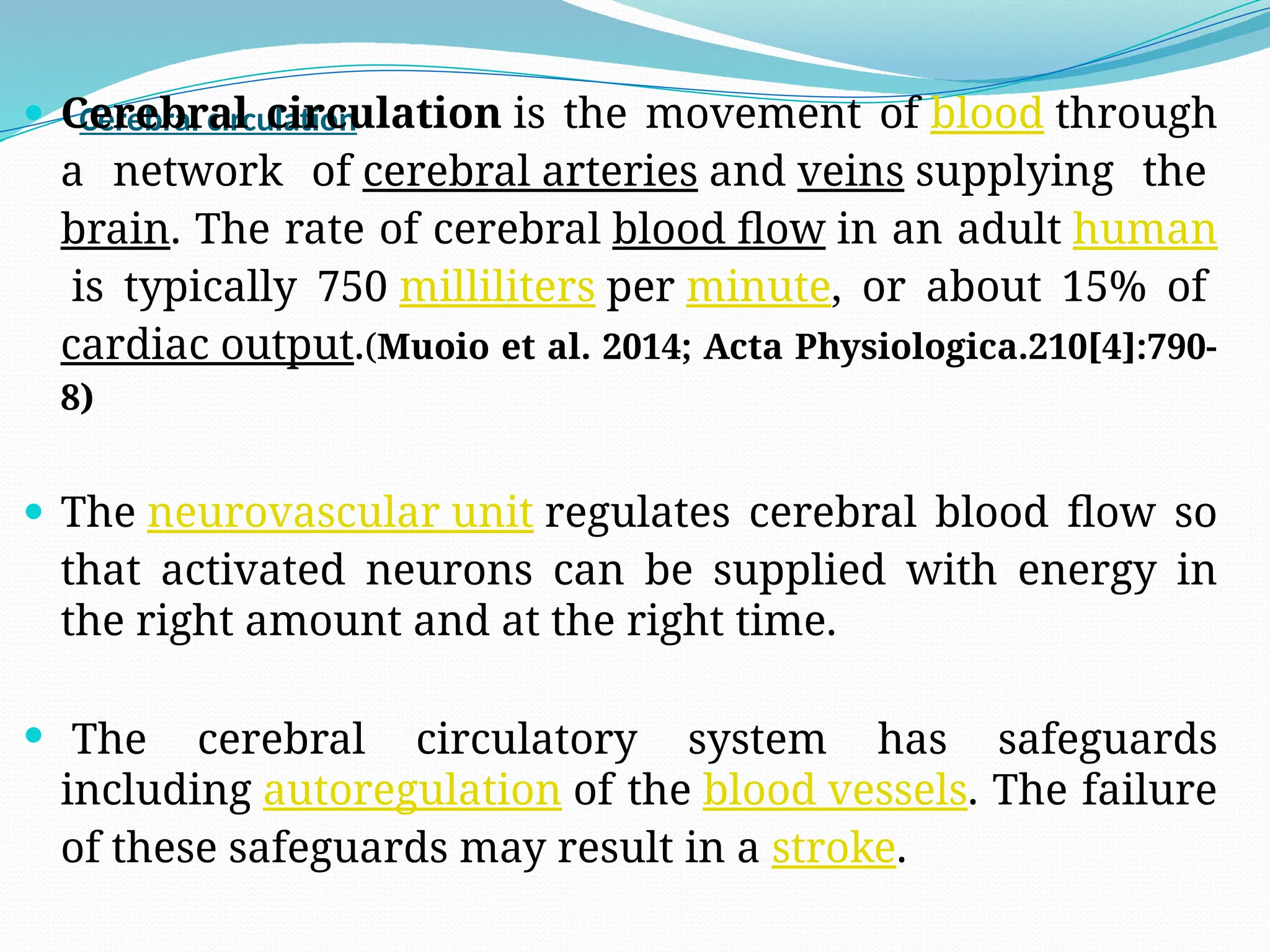 BLOOD SUPPLY OF BRAIN (Basic Anatomy and Physiology) | PPTX
