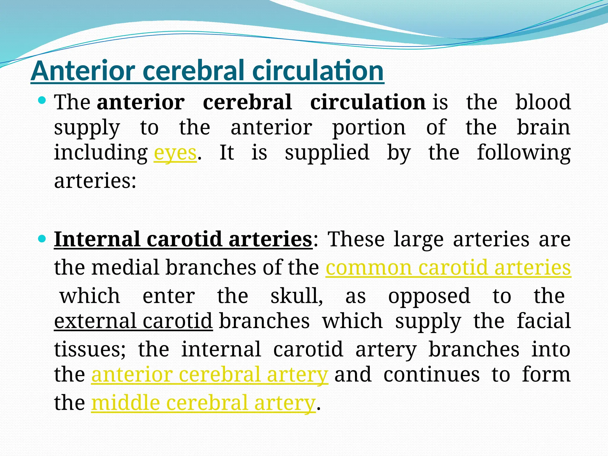 BLOOD SUPPLY OF BRAIN (Basic Anatomy and Physiology) | PPTX