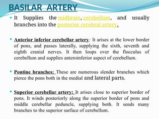 BLOOD SUPPLY OF BRAIN (Basic Anatomy and Physiology) | PPTX