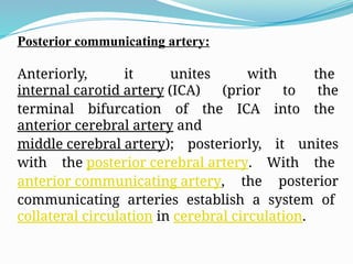 BLOOD SUPPLY OF BRAIN (Basic Anatomy and Physiology) | PPTX