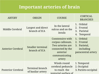 BLOOD SUPPLY OF BRAIN (Basic Anatomy and Physiology) | PPTX